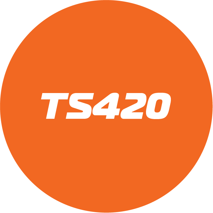 Stihl TS420 Parts – Greenred Spares